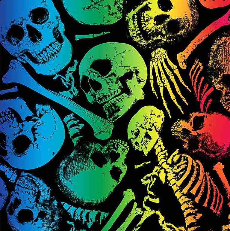 Timeless Treasures FUN C1110 Rainbow Skulls BLACK │ Patchwork Garden